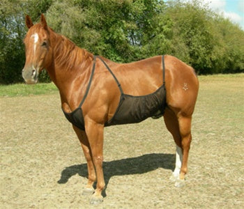 Fly Sheet Belly Guard – Rockin M Tack & Home Accents