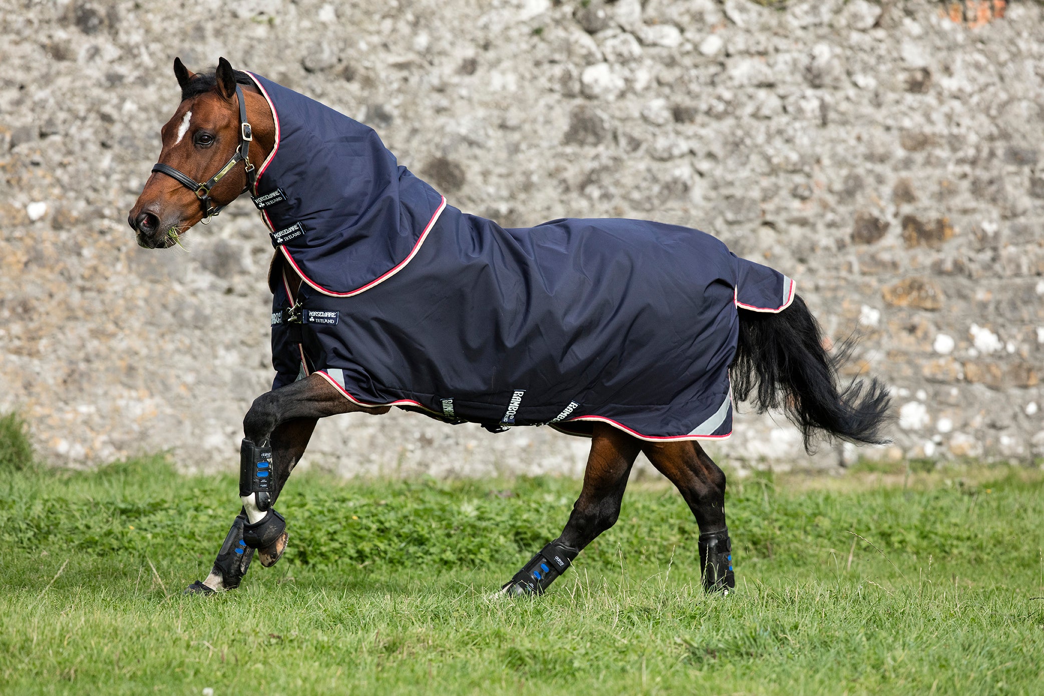 Rambo Duo System Bundle | 3 Horse Blankets in 1 – Rockin M Tack & Home ...